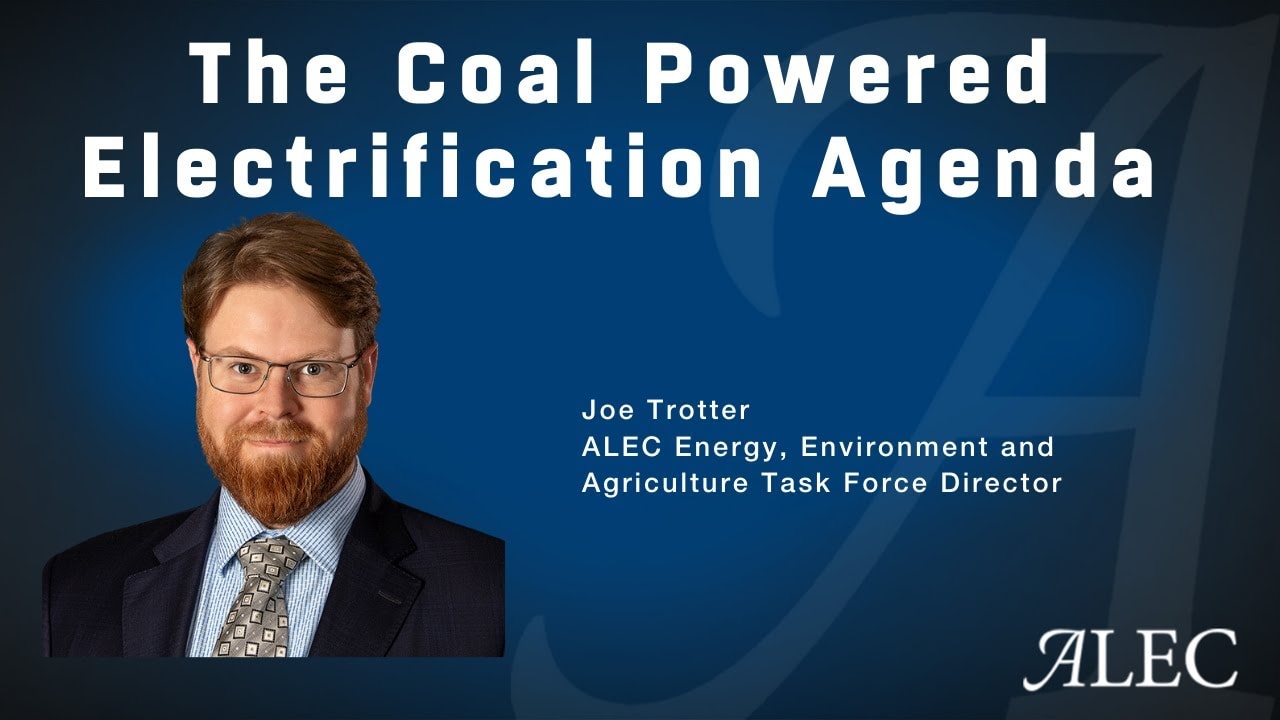 The Coal Powered Electrification Agenda: Joe Trotter on In The Dugout ...