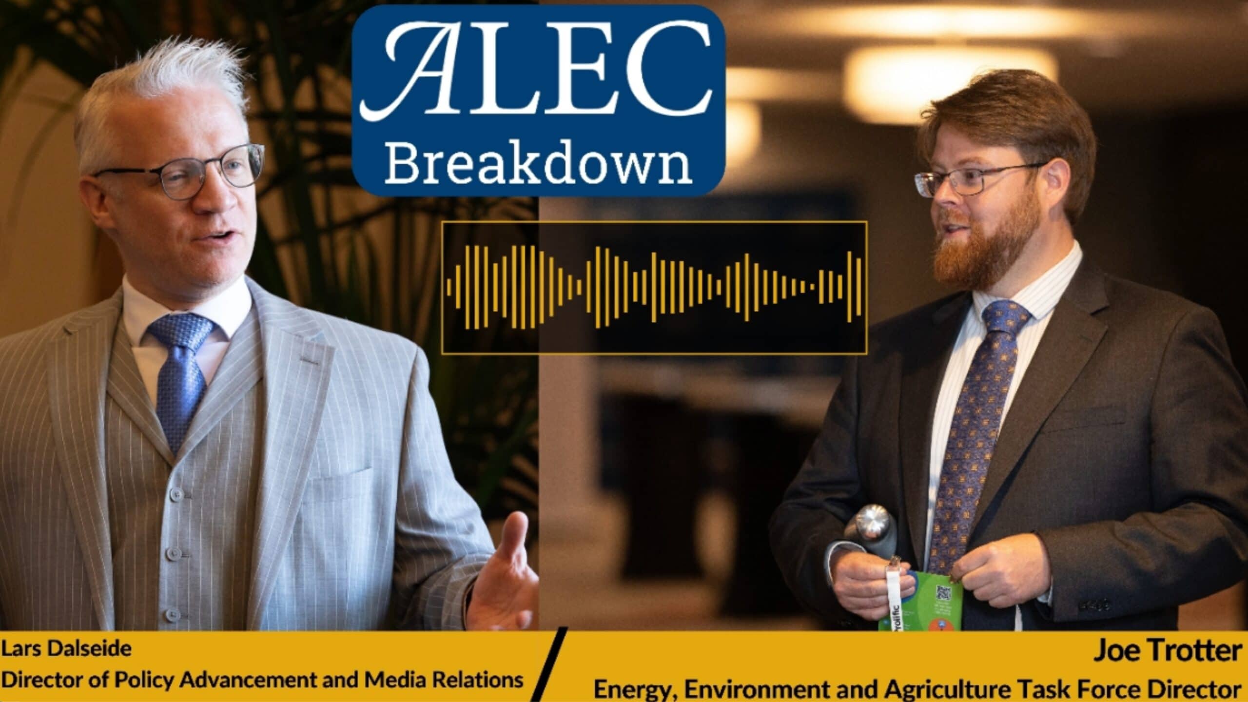 A Breakdown of the Country's Energy Prices: Joe Trotter on ALEC ...